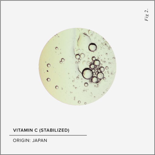 Vitamin C Serum | Arctic-C Brightening Serum | Root Science